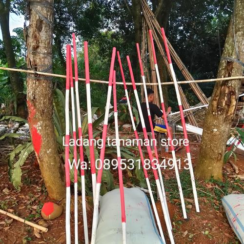 Jual Bambu tiang bendera panjang 2m - Kota Depok - ladang tanaman store ...