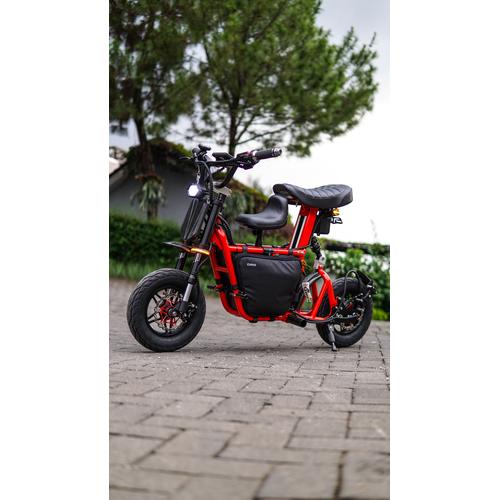Jual Fiido Q1S Upgrade Repaint Frame Red Speed 80KPH HM Motor 60V 2600W ...