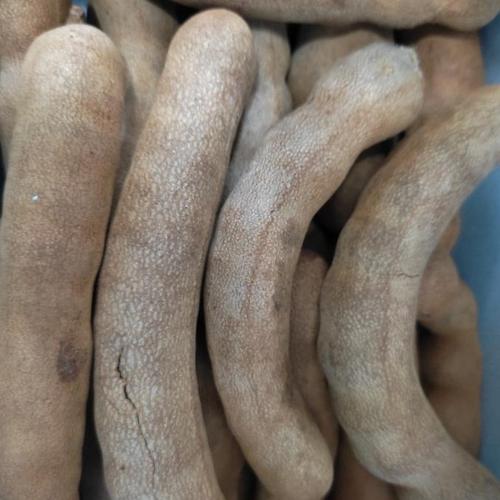 Jual [SEGER] Buah Asam Sweet Tamarind Asam Thailand 500 Gram - Jakarta ...