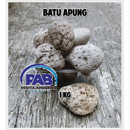 Jual Batu Apung Pumice Penjernih Air Media Filter Kolam Air 1kg ...
