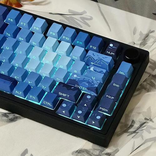 Jual Bridge Moonlight PBT Keycaps Side engraving backlit Keycap Cherry ...