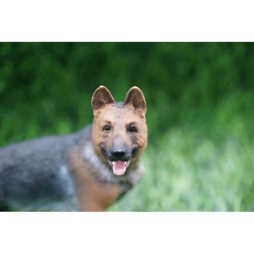 Jual Anjing German Shepherd Dog Mainan Animal Figure Binatang Edukasi ...