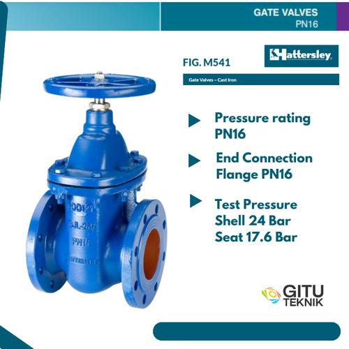 Jual Gate valve Hattersley DN250 10" inchi PN16 - Jakarta Pusat - GITU ...
