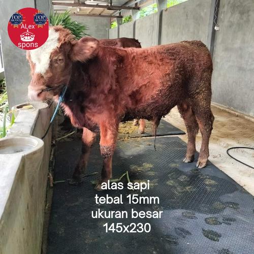 Jual karpet sapi 15mm motip 140x230 - Kota Bandung - alexspon | Tokopedia