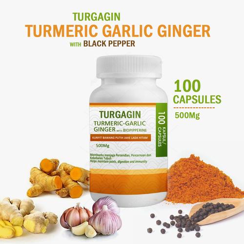 Jual Turgagin Turmeric Garlic Ginger 100 Capsules with Black pepper ...