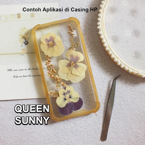 Jual Viola Pressed Flower Bunga Kering Press untuk Hiasan Resin Epoxy ...