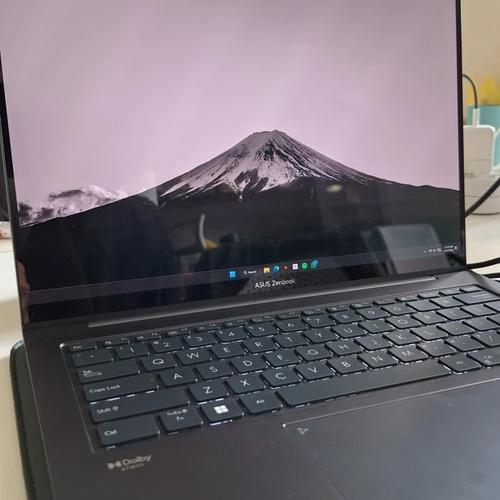 Jual ASUS ZENBOOK 14X OLED Q420VA TOUCH I7 13700 16GB 512 SSD 2.8K 14 ...