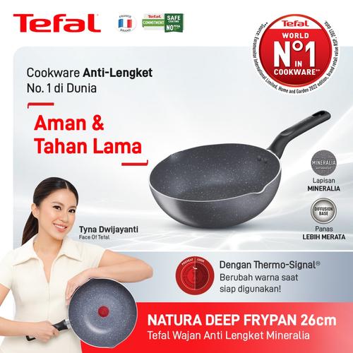 Jual Tefal TLNTDFB2266595-A Natura Deep Fry Pan 26 cm / Wajan Anti ...
