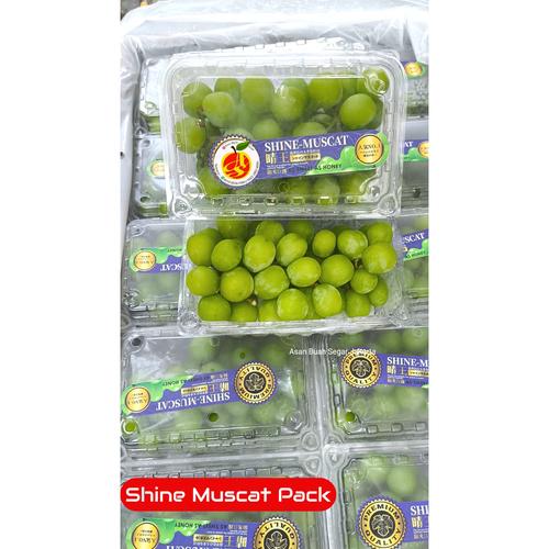 Jual Buah anggur hijau ijo /ons tanpa biji seedless grapes green ...