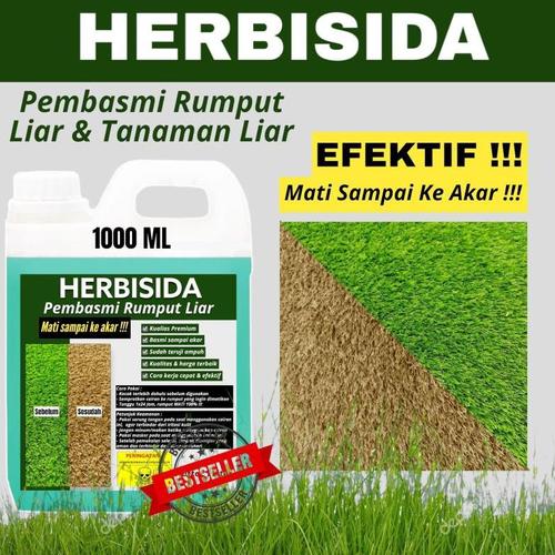 Jual Herbisida pembasmi rumput liar | pembasmi rumput gulma | pembasmi ...