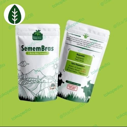 Jual Benih Biji Rumput 500gram Grass Seed SememBras Signal Brachiaria ...