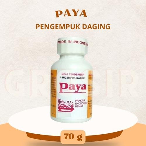 Jual Bubuk Paya Pengempuk Daging / MEAT TENDERIZER 70 Gram HALAL ...