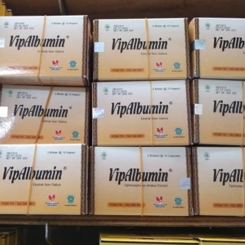 Jual Kapsul Vip Albumin Ekstrak Ikan Gabus VipAlbumin isi 30 Kapsul ...
