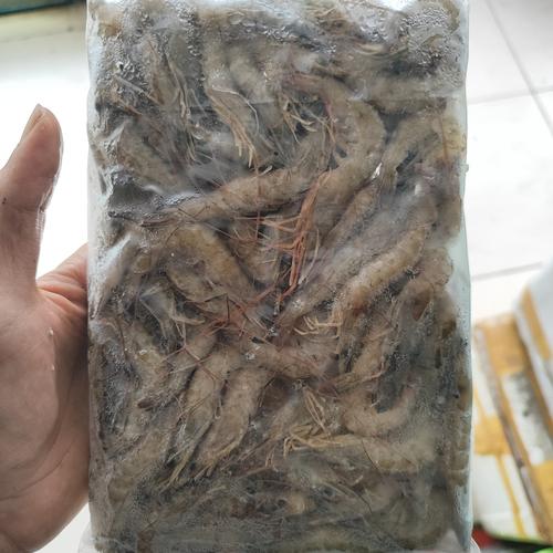 Jual UDANG API BESAR / UDANG API BEKU 500GR / UDANG API MURAH /UDANG ...