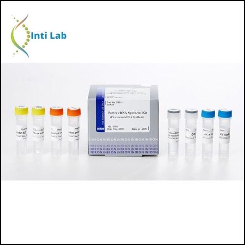 Jual intron power cdna synthesis kit (expired date) - Jakarta Utara ...
