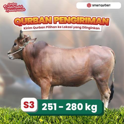 Jual Qurban Sapi Smartqurban S3 - Smartqurban Kirim - Kota Surabaya - smartqurbanid | Tokopedia