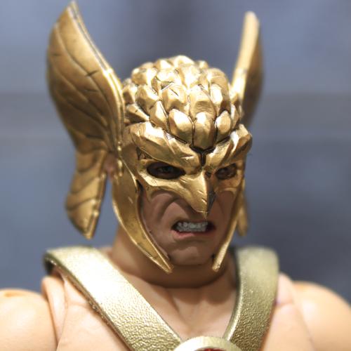 Jual 1/12 Custom DC Multiverse Hawkman SHF Mezco Mafex HS Head Sculpt ...