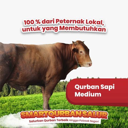 Jual Qurban Sapi Ternaknesia MEDIUM - Kota Surabaya - smartqurbanid | Tokopedia
