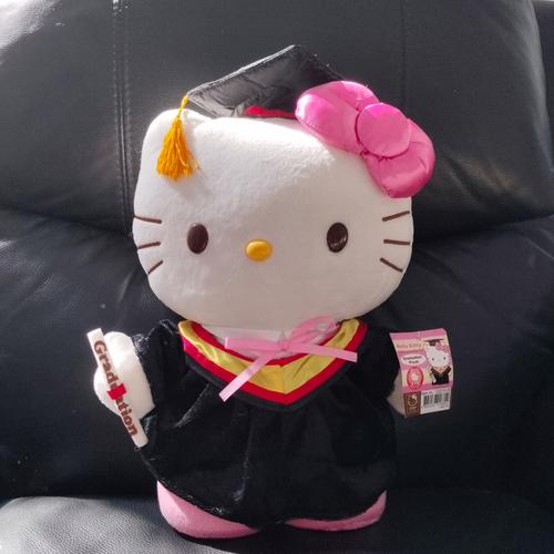 Jual Hello Kitty Sanrio Graduation - Kota Palembang - oceanalmer ...