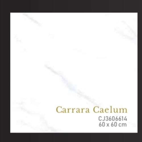 Jual GRANIT MERK CERANOSA TIPE CARRARA CAELUM UK 60X60CM UNTUK DINDING ...