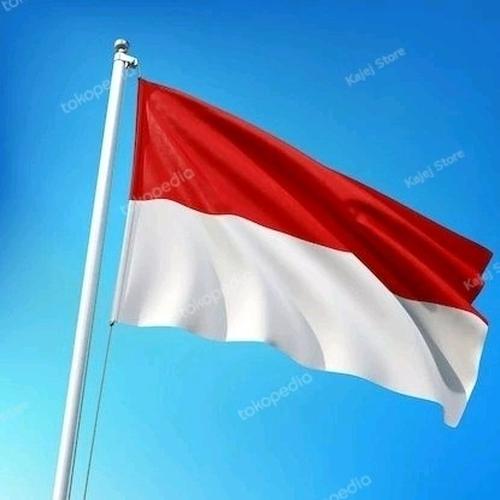 Jual PROMO Bendera Merah Putih Persegi Panjang Berukuran Kecil - Kab ...