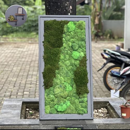 Jual moss wall - lumut abadi - dekorasi dinding - ukuran 100cm x 50cm ...