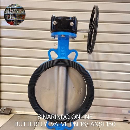 Jual Butterfly valve 12" inch dn 300 besi cast iron disc ss 304 Gear ...