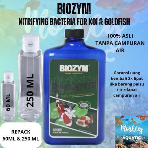Jual BIOZYM nitrifying bacteria highly concentrate formula for goldfish ...