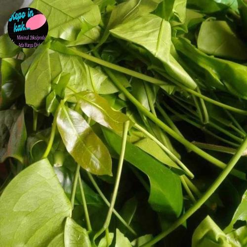 Jual Daun Melinjo Muda / Daun So Sayuran Segar Fresh - Kota Tangerang ...