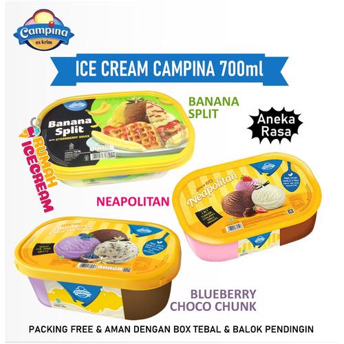 Promo Ice Cream Campina 700ml Aneka Rasa - Blueberry Choco - Kota ...