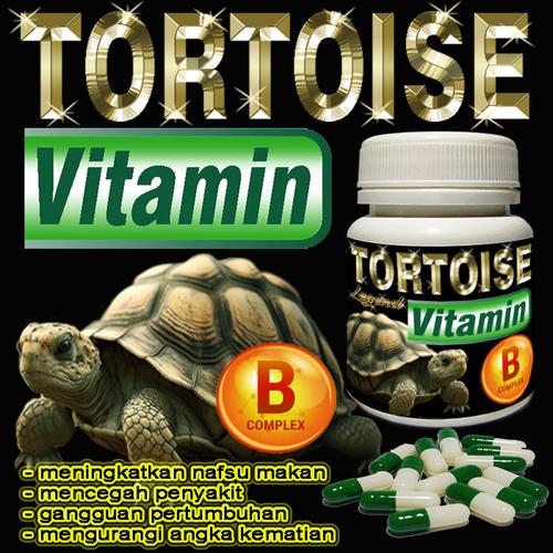 Promo TORTOISE VITAMIN BUBUK KAPSUL OBAT MENYEMBUHKAN GANGGUAN PERTUMBUHAN DAN KEKURANGAN B ...