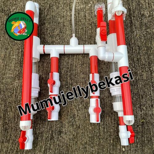 Jual overflow aquarium overflow sumpfilter filter Double input&double ...