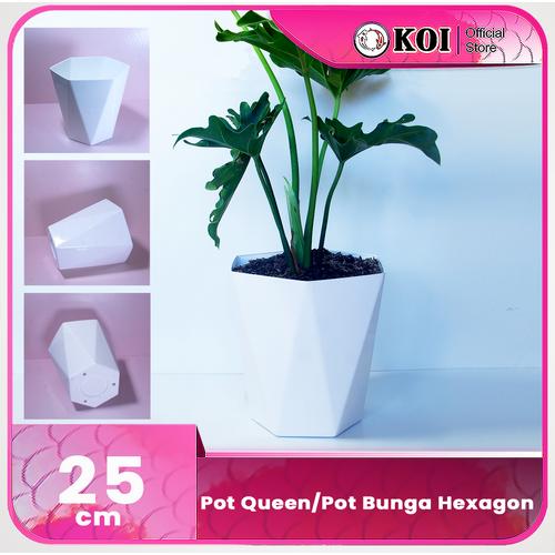 Jual Koi Official - Pot Queen/Pot Bunga Plastik Hexagon Unik Pot ...