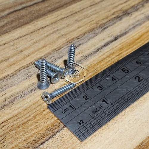 Jual SEKRUP SKRUP FH FAB F+AB TAPPING 6X3/4 PANJANG 2CM TAPING SCREW 6 ...