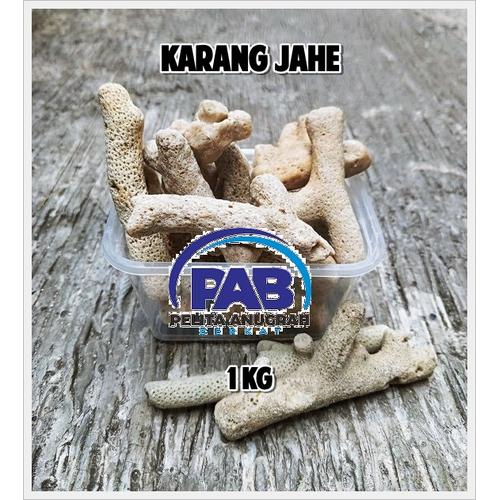 Jual Karang Jahe 1kg Media Filter Air Aquarium Bak Kolam Penampungan ...