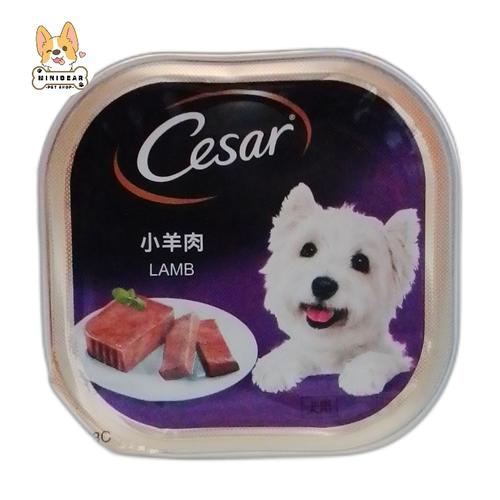 Jual Dog Wet Food Cesar 100 gr - Beef & Liver - Jakarta Utara ...