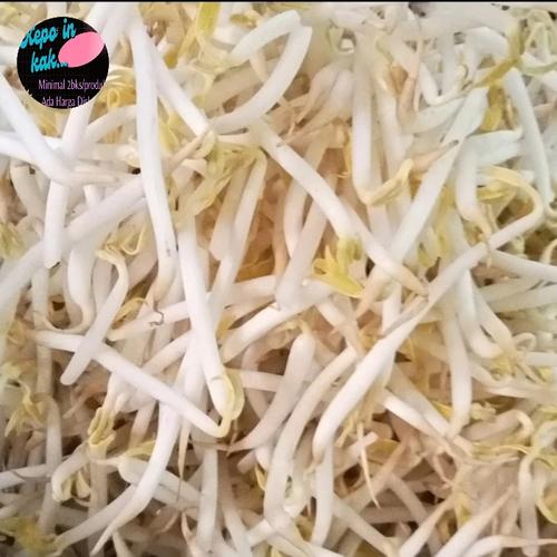 Jual Tauge Toge Kacang Hijau Sayuran Segar Fresh - 500 gram - Kota ...