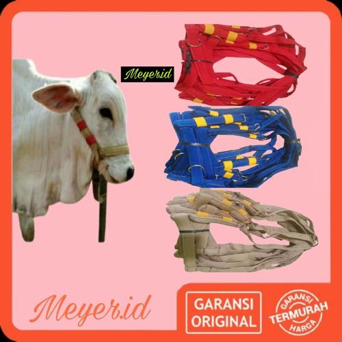 Promo [COD] HEAD HALTER atau BRANGUS SAPI (UKURAN L) untuk sapi besar/jumbo - Cream, HALTER (L ...