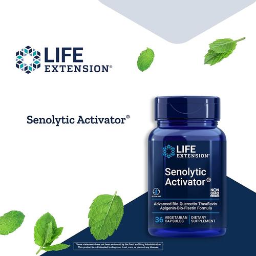Jual Life Extension Senolytic Activator 36 Vegetarian Capsules ...