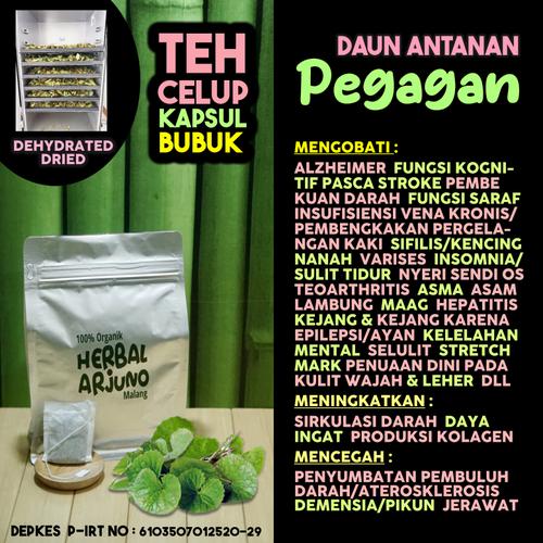 Jual Dehydrated Dried Teh Celup Kapsul & Bubuk Daun Pegagan Antanan ...