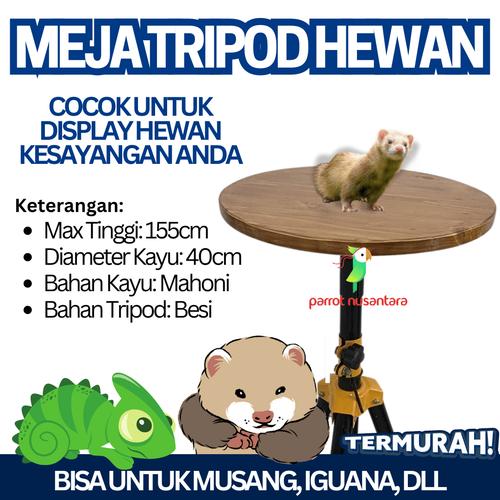 Jual Meja Tripod Besi Besar Murah - Cocok Untuk Musang. Sugar Glider ...