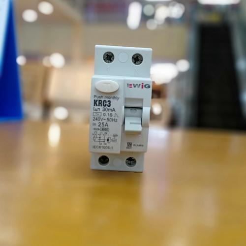 Jual ELCB atau Rccb 2P 25A 30mA ewig 2 phase 25 Ampere - Jakarta Pusat ...