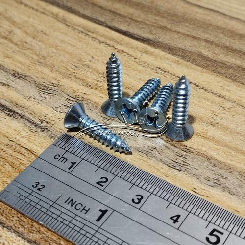 Jual SEKRUP SKRUP FH FAB 8X3/4 PANJANG 2CM F+AB TAPPING TAPING SCREW 8 ...