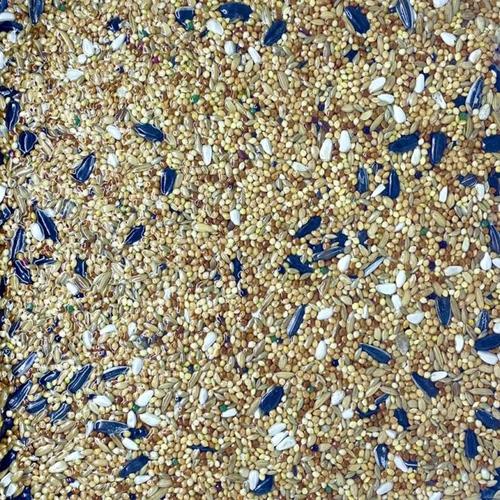 Jual VITA PET DAILY Mix Seed Makanan Burung Lovebird Conure Falk 500 Gr ...