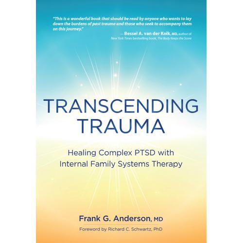 Jual Buku Transcending Trauma_ Healing Complex Ptsd with Internal ...