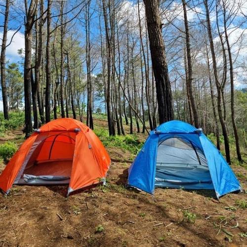 Jual Best seller Tenda Camping Compas 4p alumunium - Tenda Compas 4 ...