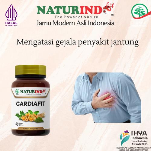 Jual Cardiafit Obat Jantung Lemah Jantung Koroner Telapak Tangan Mudah ...