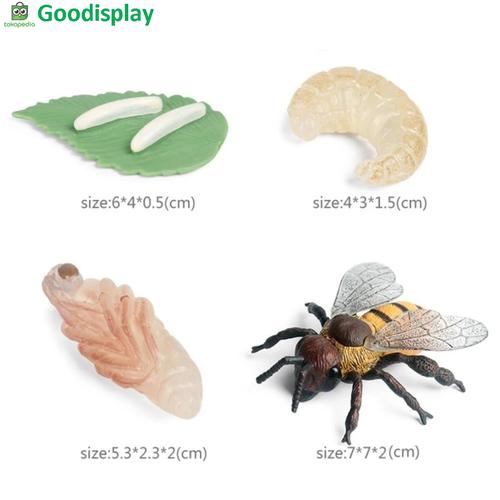 Jual aneka mainan edukasi siklus hidup hewan animal life cycle - Lebah ...