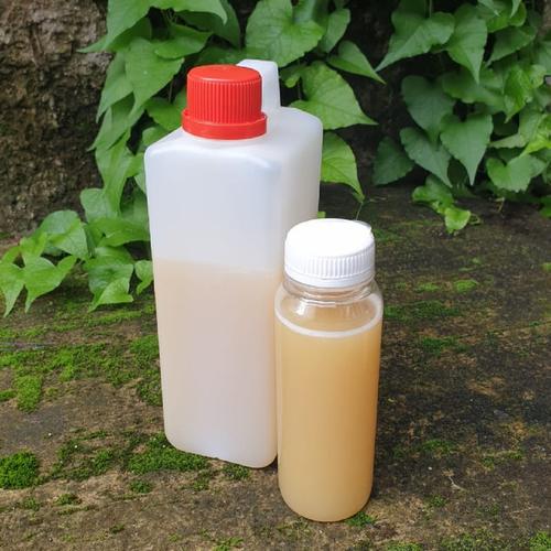 Jual Madu Putih Dompu Curah Kemasan 1kg - Kota Depok - Khazanah shope ...