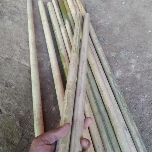 Jual bambu tamiang panjang 100cm diameter 3cm - Kab. Bandung Barat ...